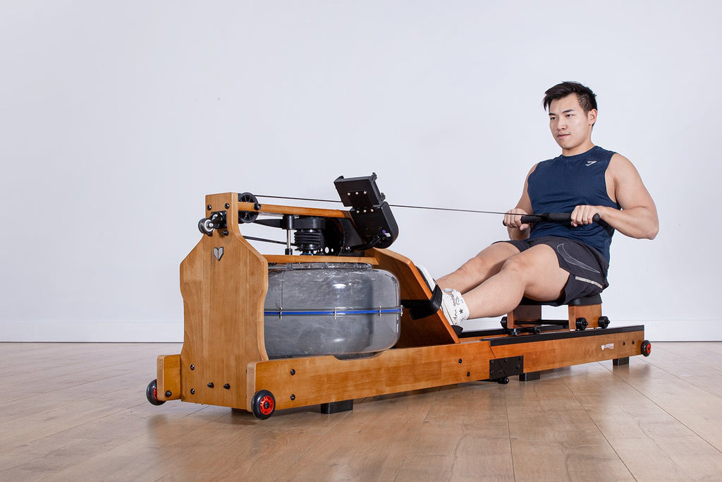 What Muscles Does a Rowing Machine Work? – Lifespan Fitness