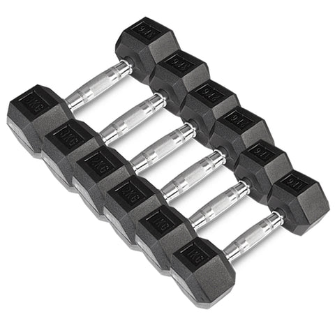 Dumbbell & Dumbbell Sets – Lifespan Fitness