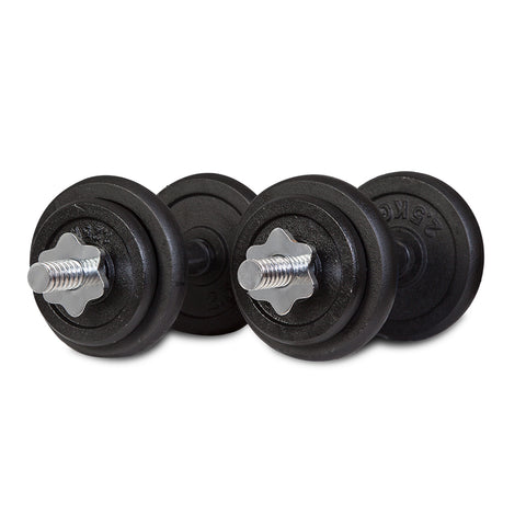 Dumbbell & Dumbbell Sets – Lifespan Fitness